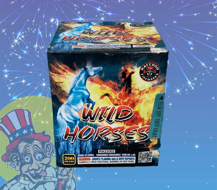 WILD HORSES – Krazy Kaplans Fireworks